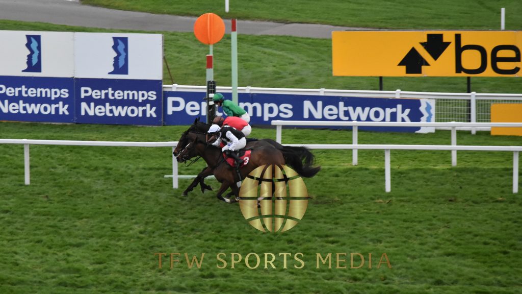 Dolphin Square wins the 1.10 in Photo Finish - Greyhound Weekly