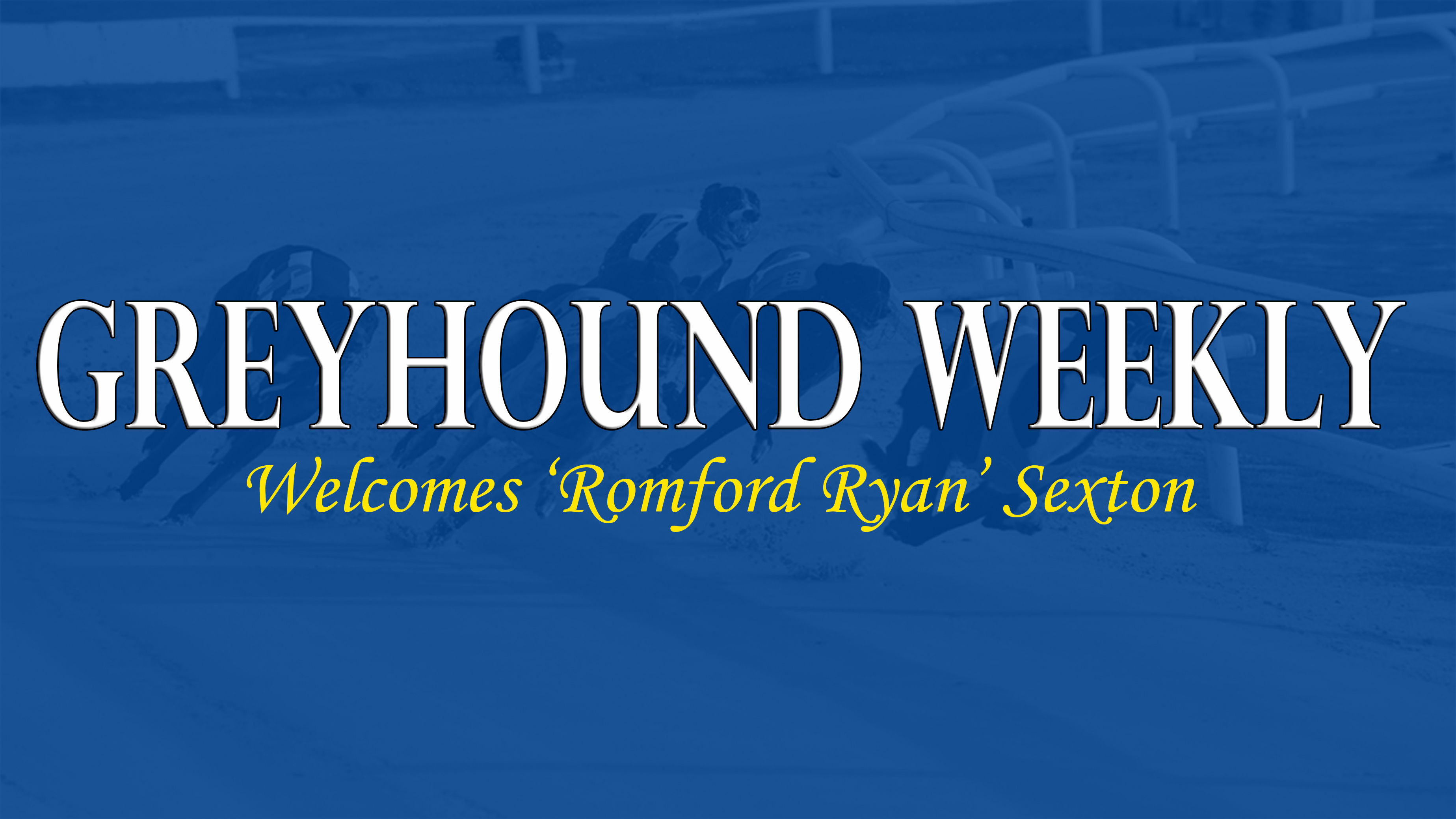 Introducing...'Romford Ryan' Sexton - Greyhound Weekly
