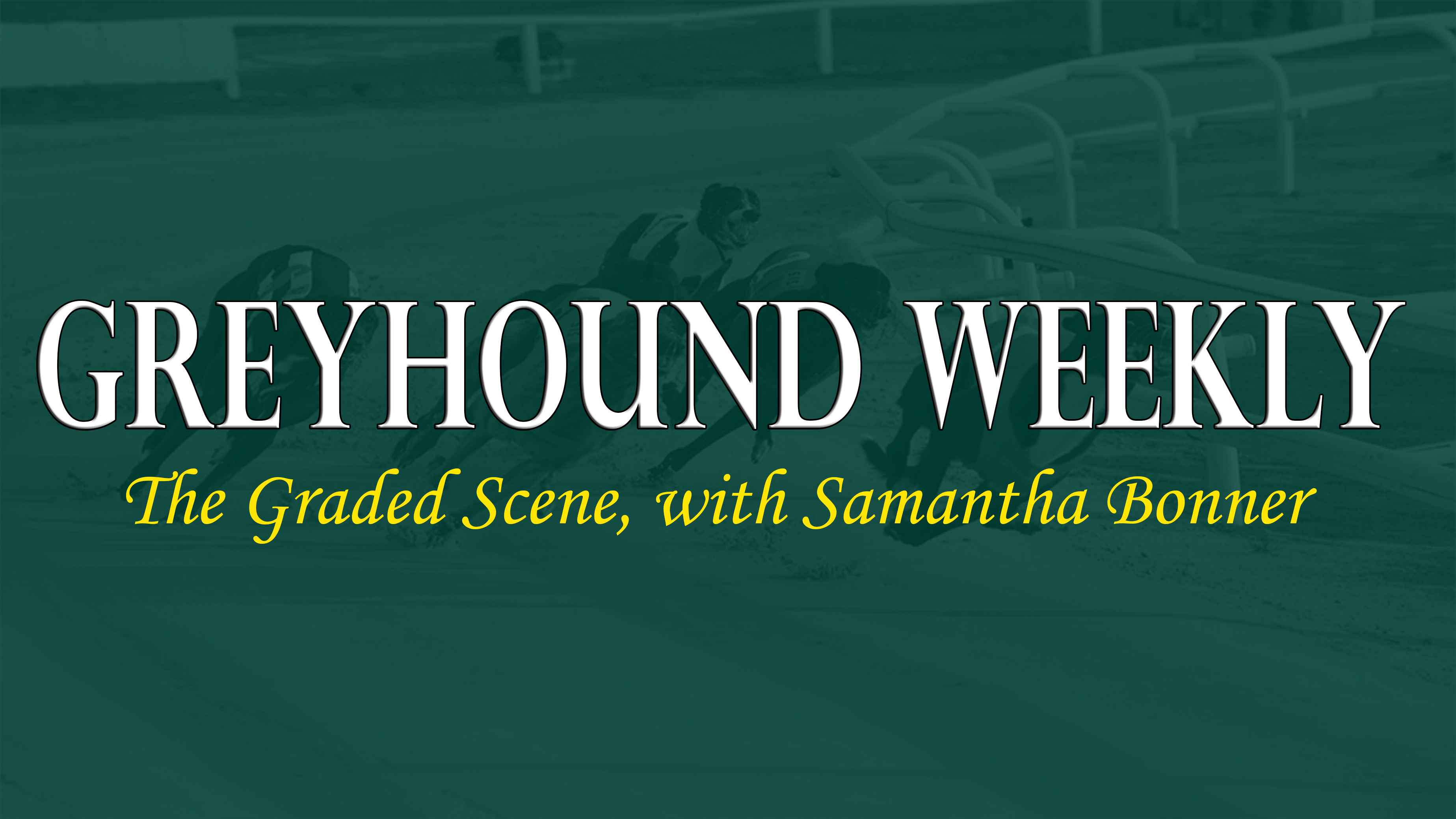 Graded Scene - Greyhound Weekly