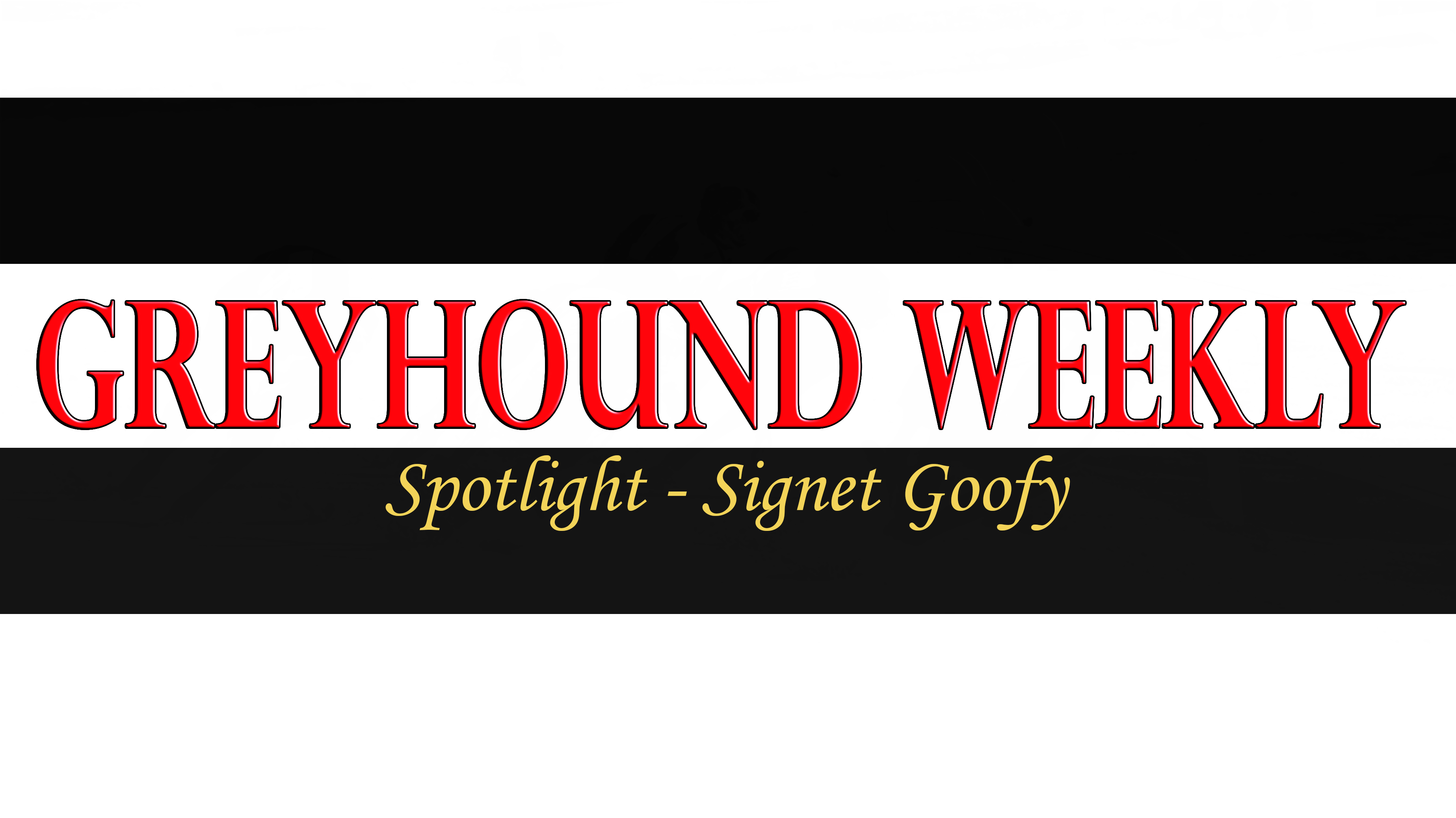 Signet Goofy wins Time Greyhound of the Month Award for January ...