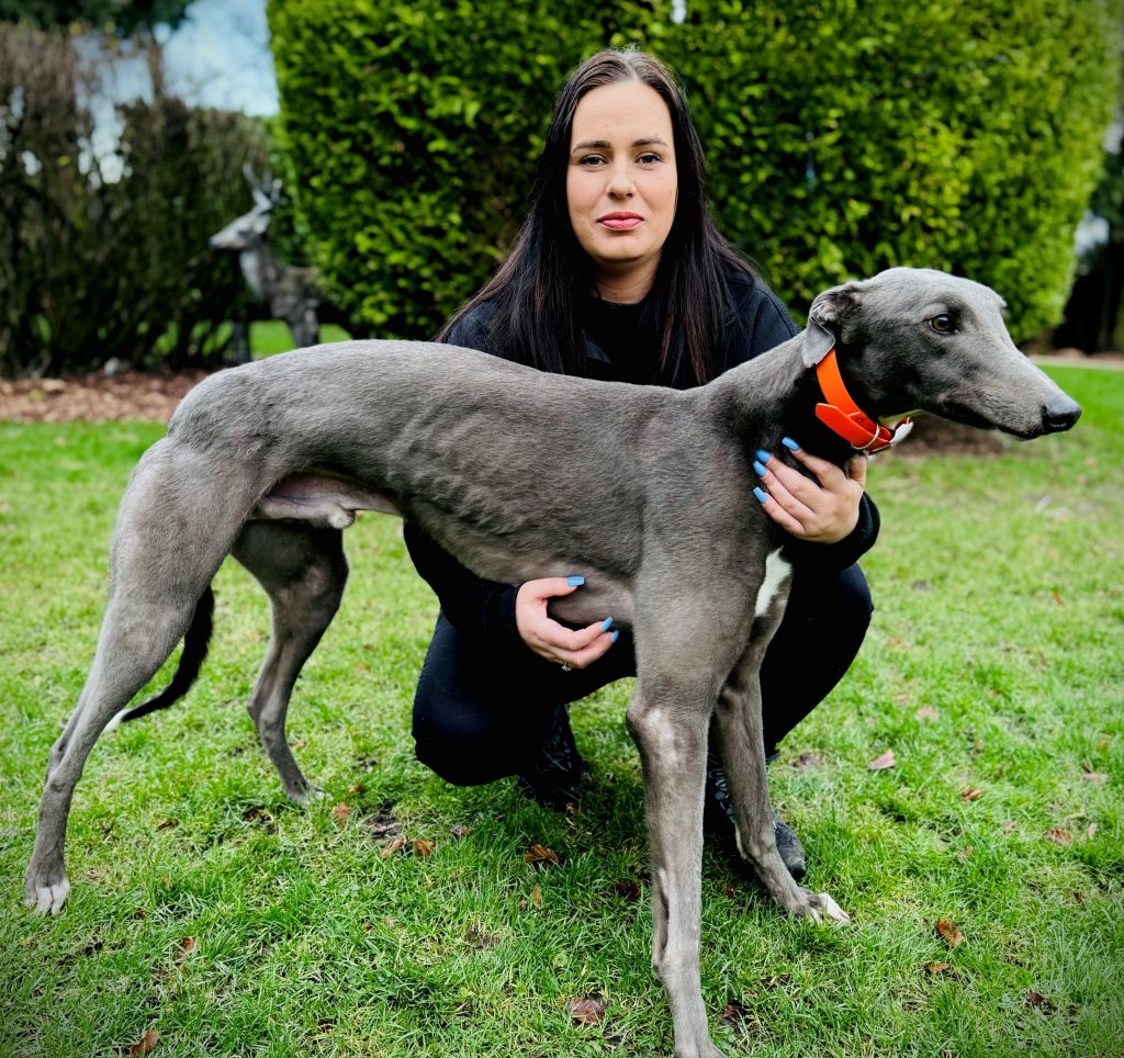 Chloe Hardy Is Crowned GBGB Kennelhand Of The Year 2023 - Greyhound Weekly