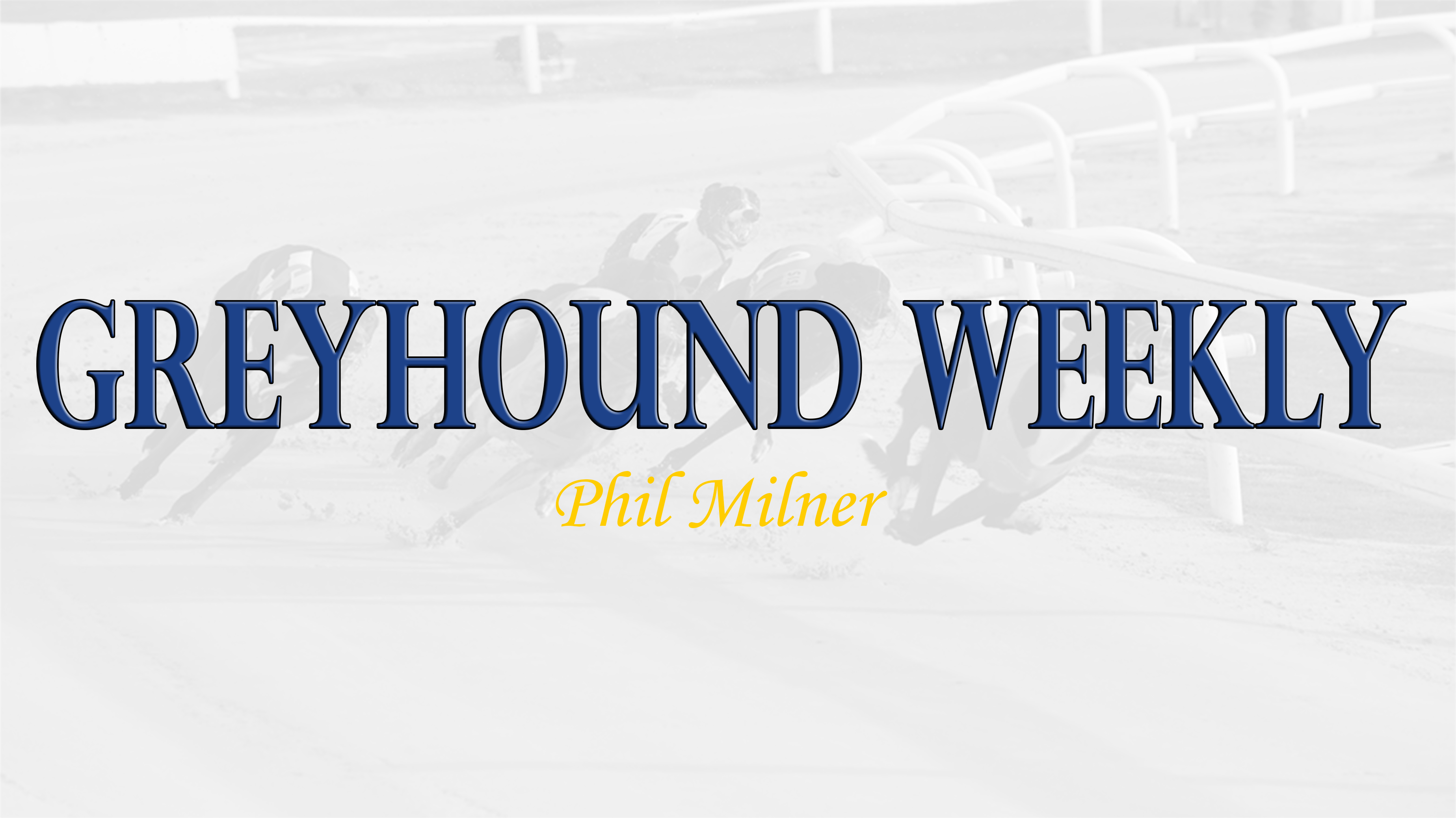 Phil Milner on Irish sires, broods and unraced stakes. - Greyhound Weekly