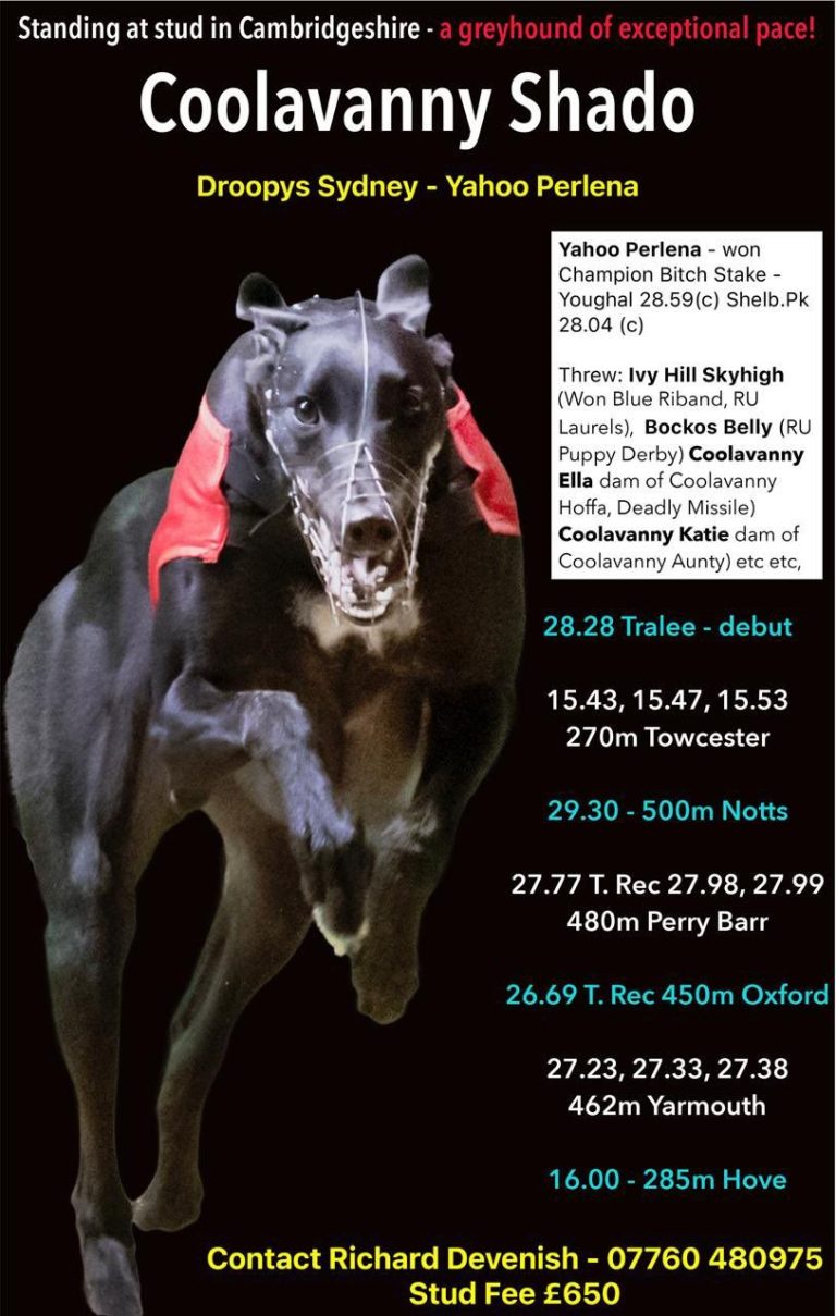 The Greyhound Weekly - Greyhound Weekly