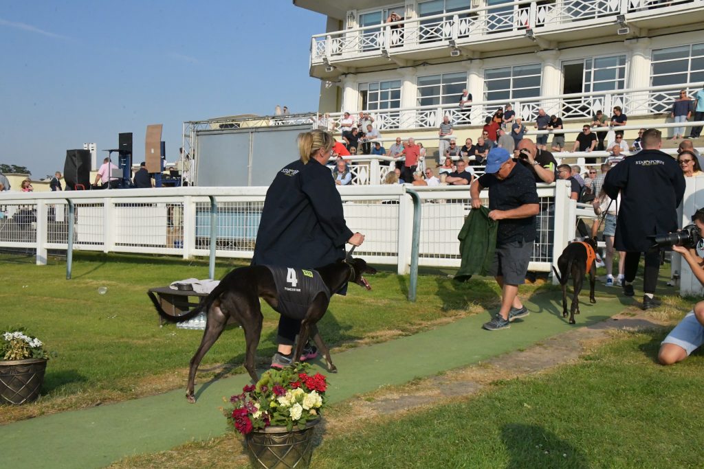 Graded Scene - Greyhound Weekly