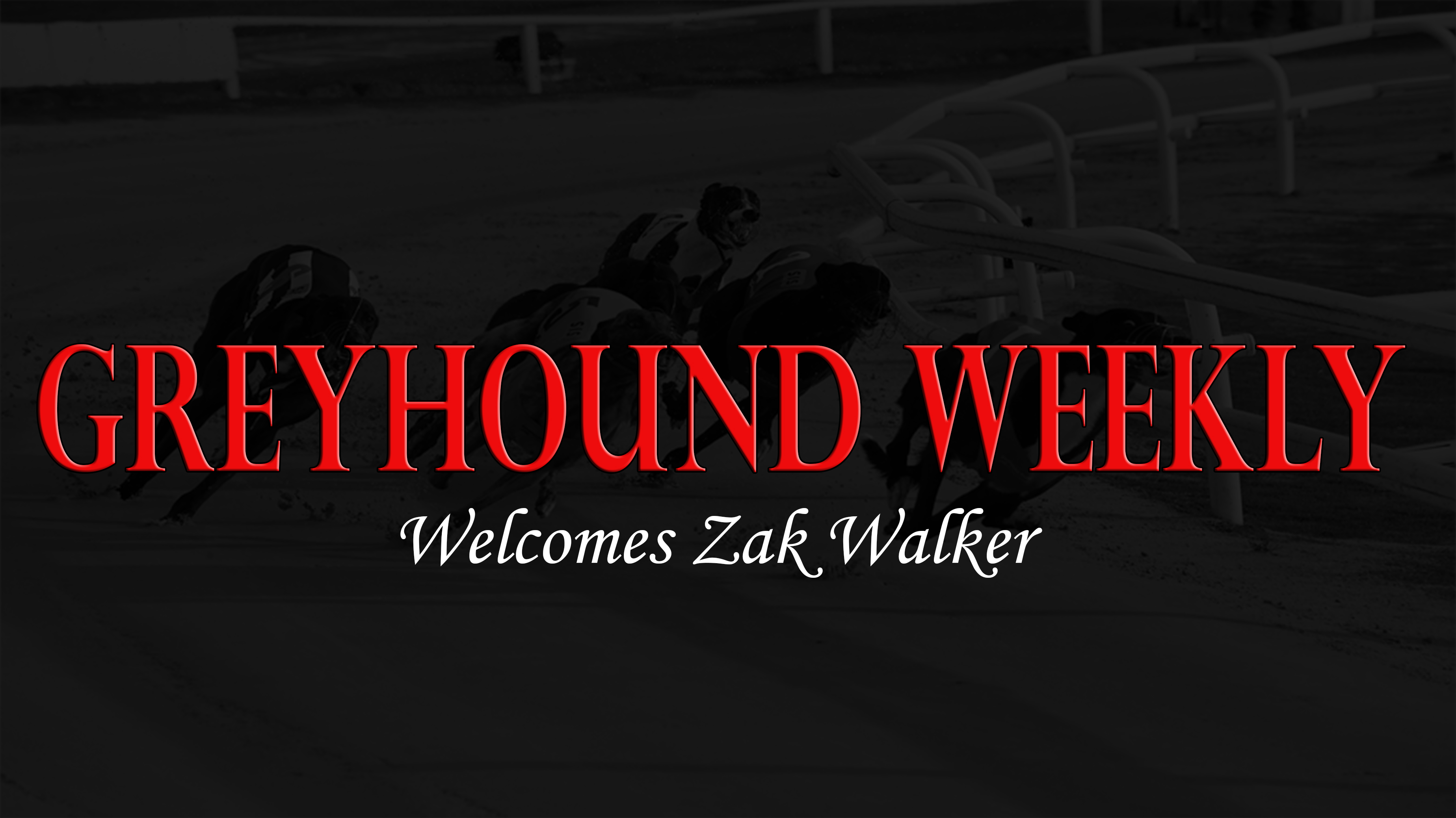 Monmore Greyhounds - Greyhound Weekly Monmore Greyhounds - Greyhound Weekly