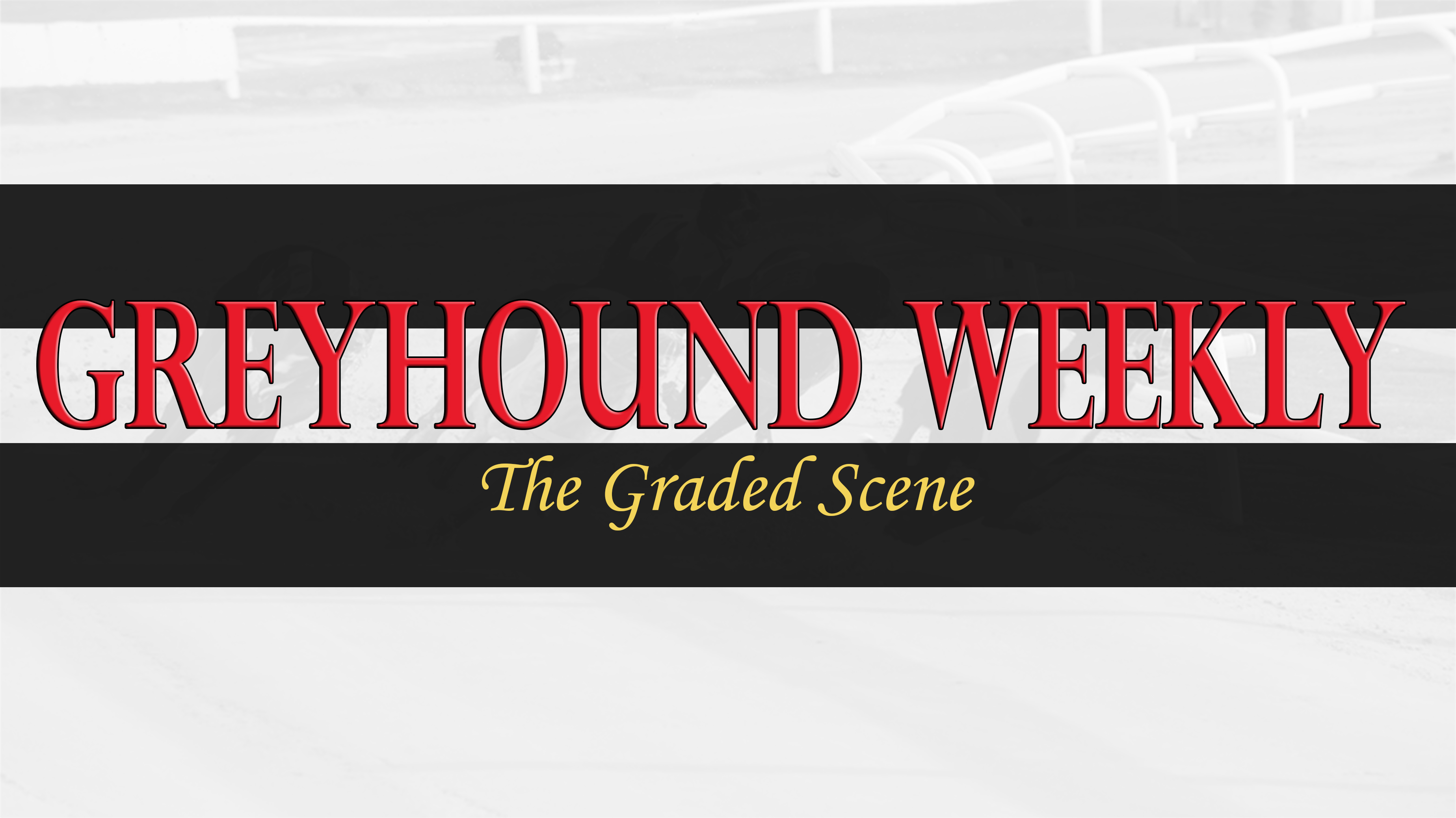 Winning Streak - Greyhound Weekly