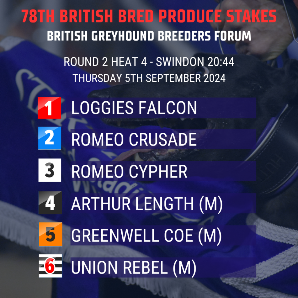 2024 BGBF British Produce Stakes Round 2: Race Previews & Predictions ...