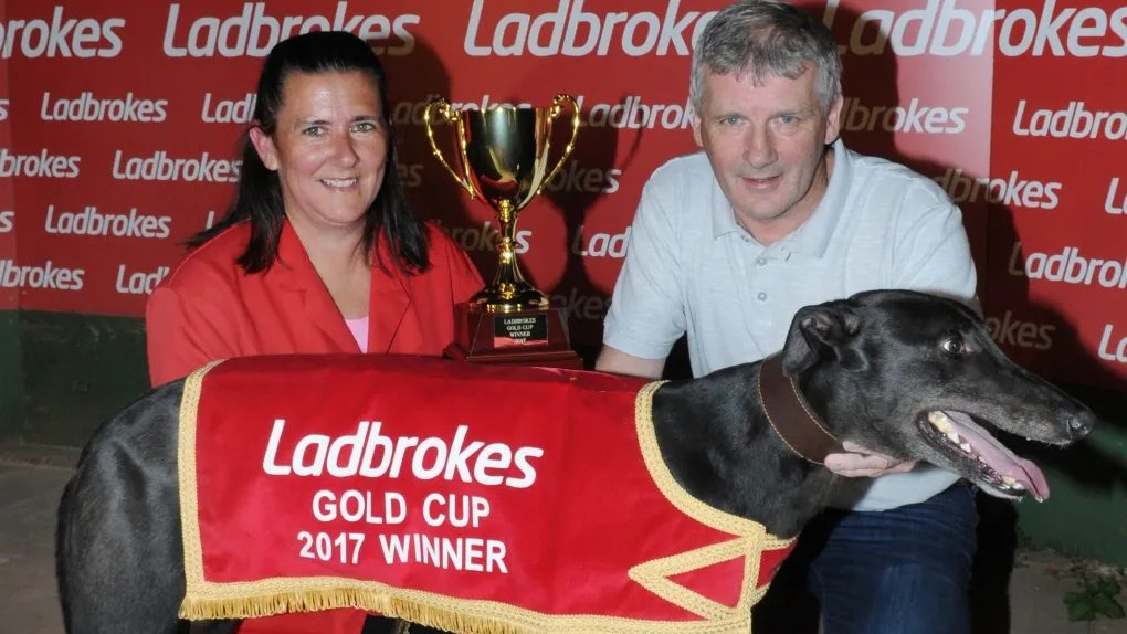 Coolavanny Mercy bids for an emotional record-breaking Premier ...