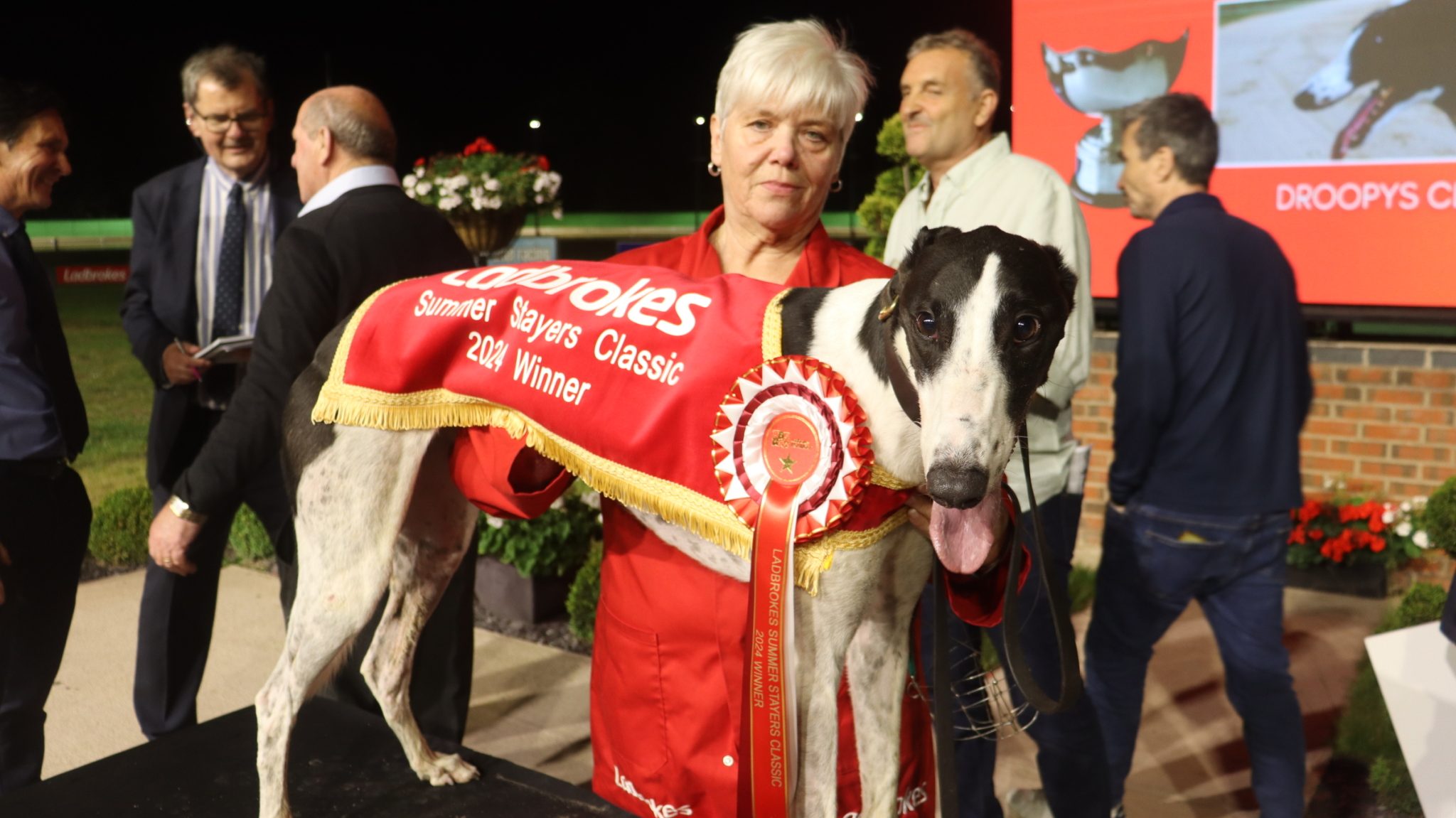 GBGB PUBLISHES FULL OPEN RACE CALENDAR FOR 2025 - Greyhound Weekly