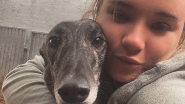 Graded Scene - Greyhound Weekly