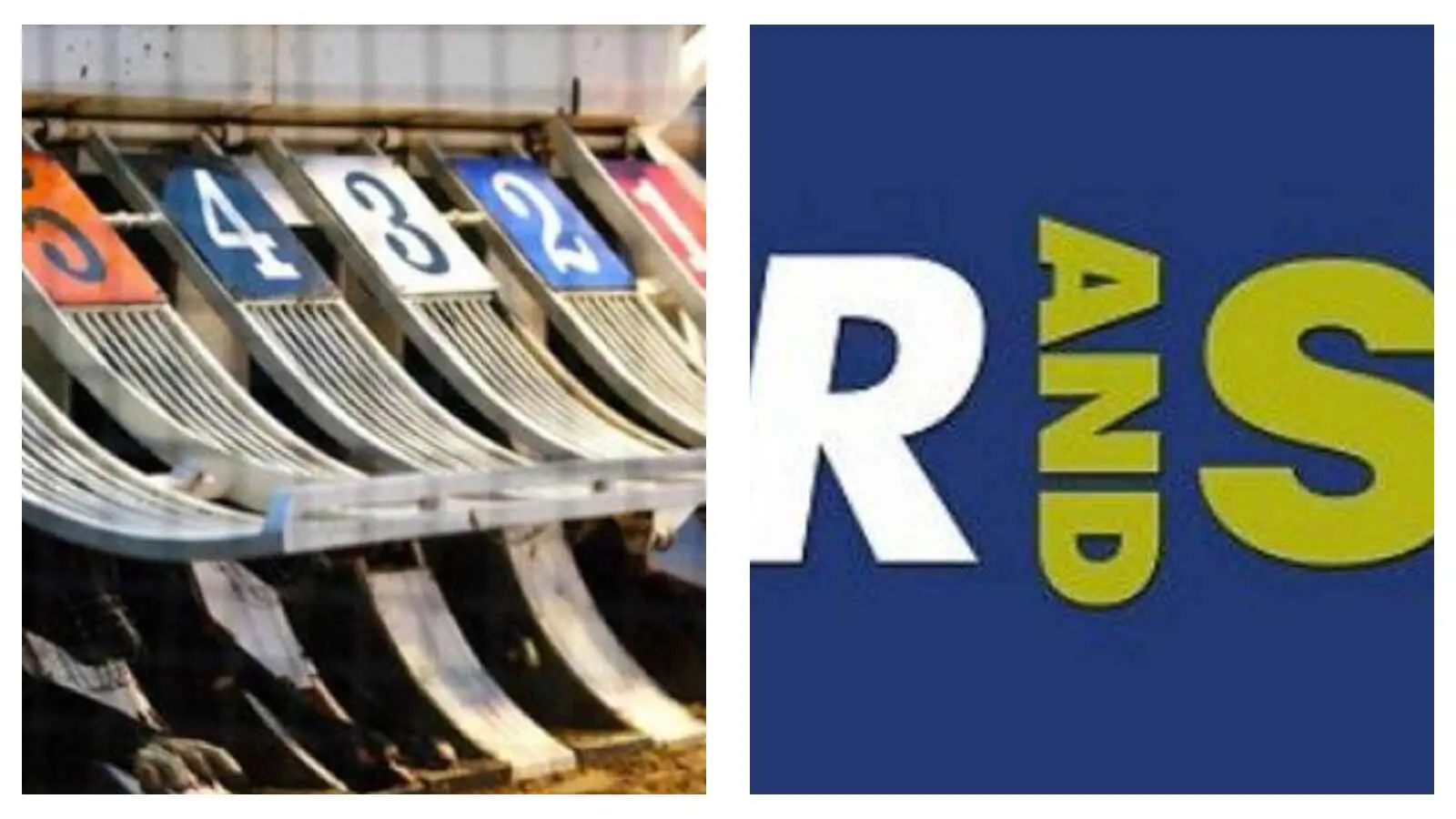 GBGB launches new trap draw feature attached to its Racing Office ...